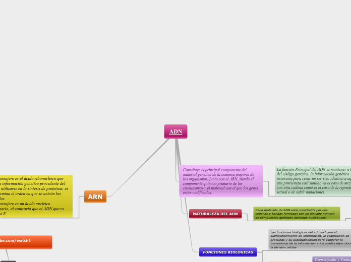 ADN Y ARN - Mind Map